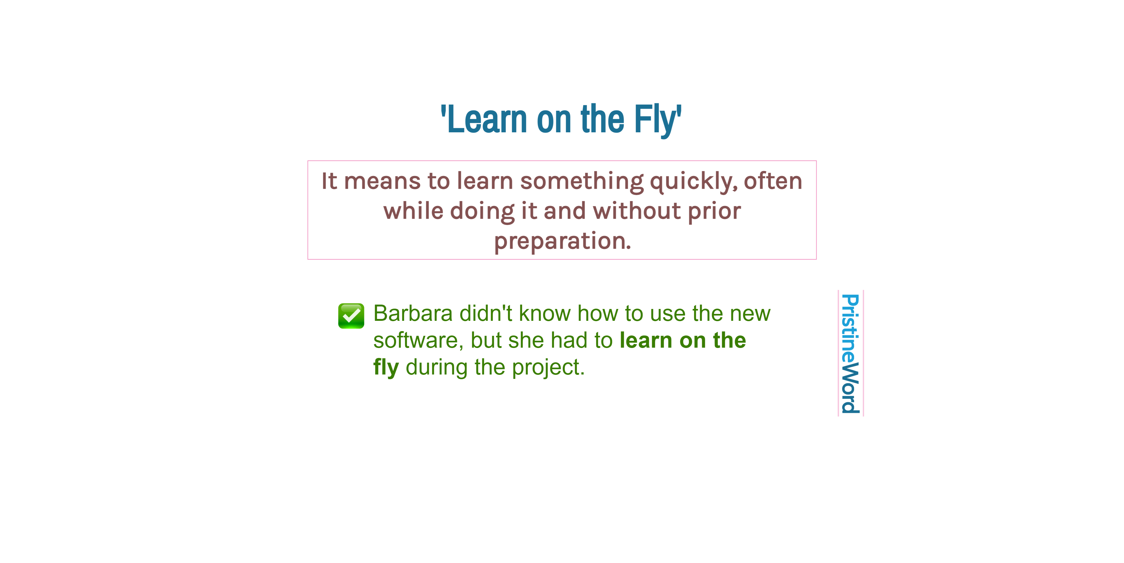 'Learn on the Fly': Meaning and Usage