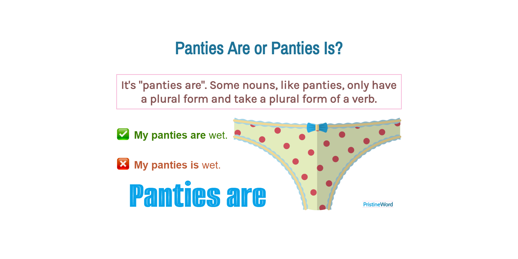 Panties Are Or Panties Is Which Is Correct
