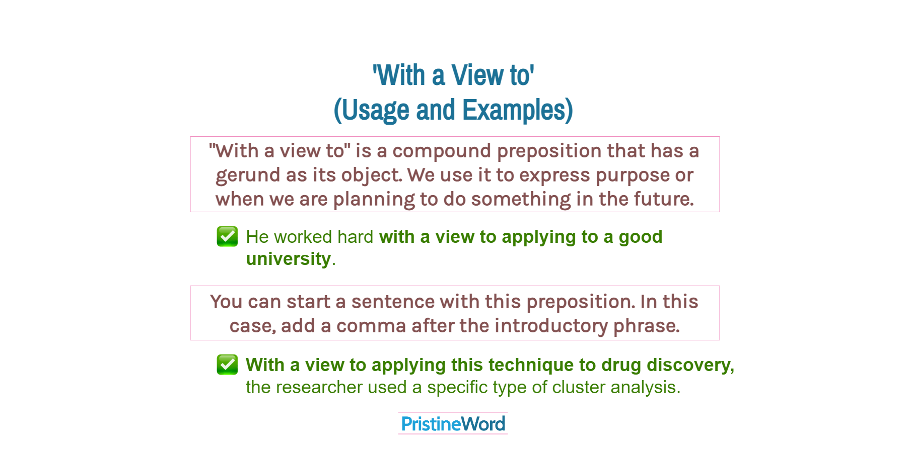 'With a View to' (Usage and Examples)