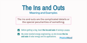 'The Ins and Outs' Meaning and Examples