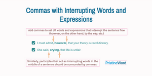 Commas with Interrupting Words and Expressions
