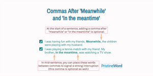 Commas After 'Meanwhile' and 'In the meantime'